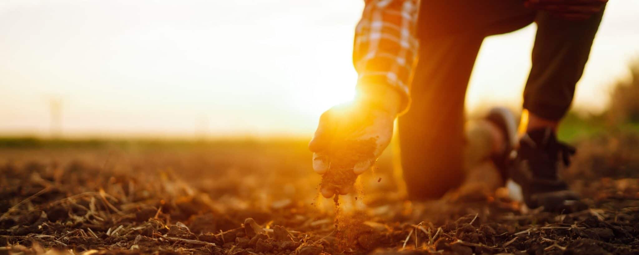 Rethinking land use: England’s changing landscape - Creating the Future